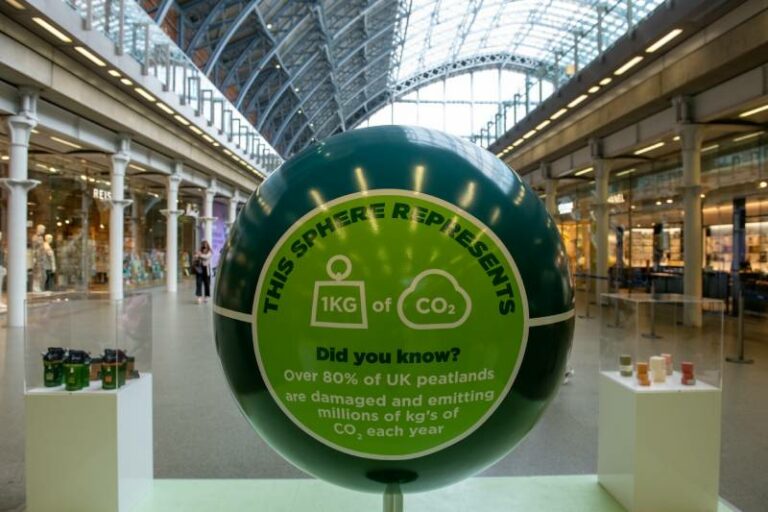 St Pancras International: Project Peatlands - Camdenist